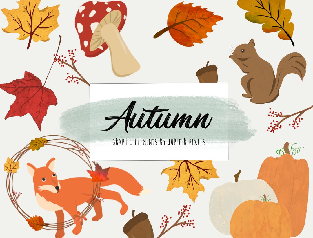 Fall Clipart / Autumn / Pumpkin and Leaves Images / Instant Download - Etsy