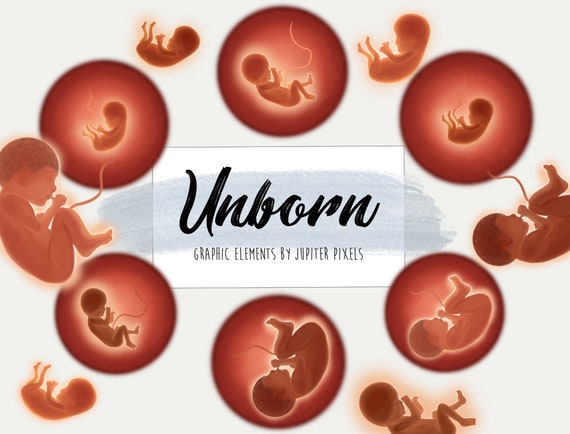 Fetus Womb Clip Art