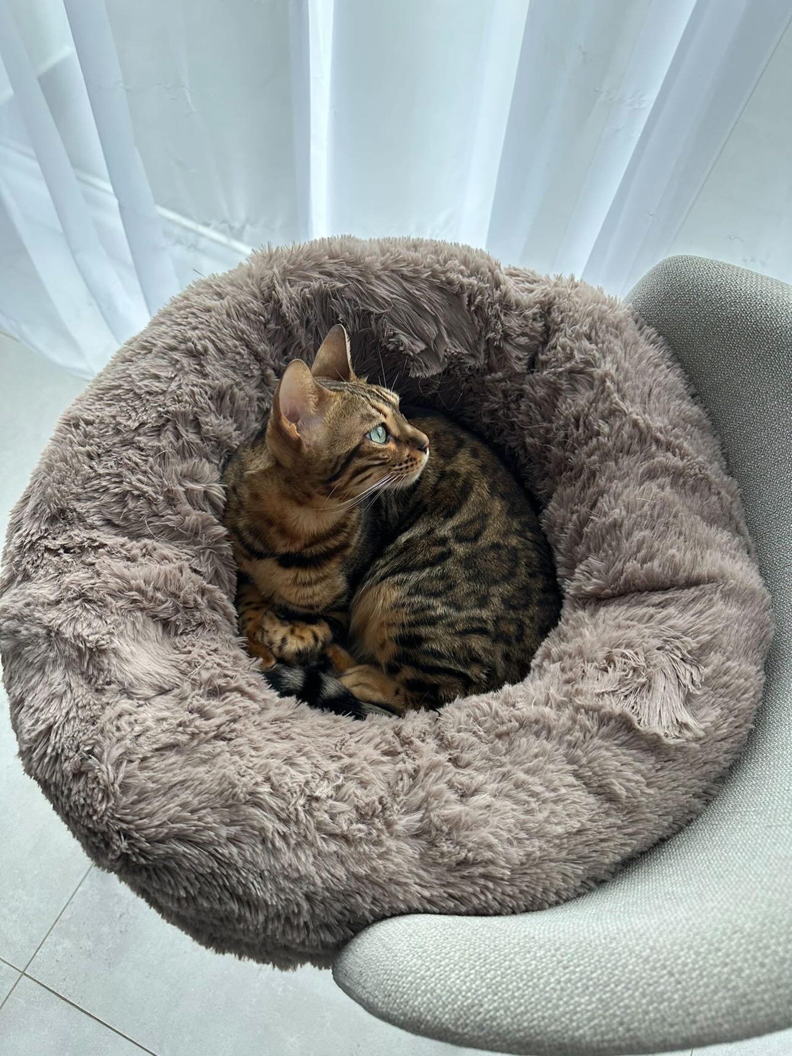 Stylish Pink Cat Bed, Calming Pet Bed, Pink Pet Bed, Round Cat Bed ...