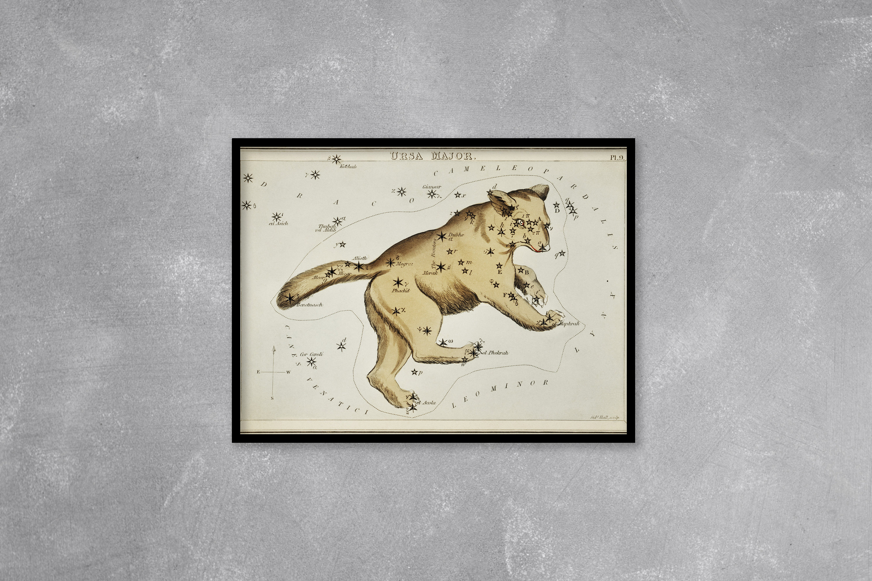 1831 Astronomical Map of the Ursa Major an Antique - Etsy