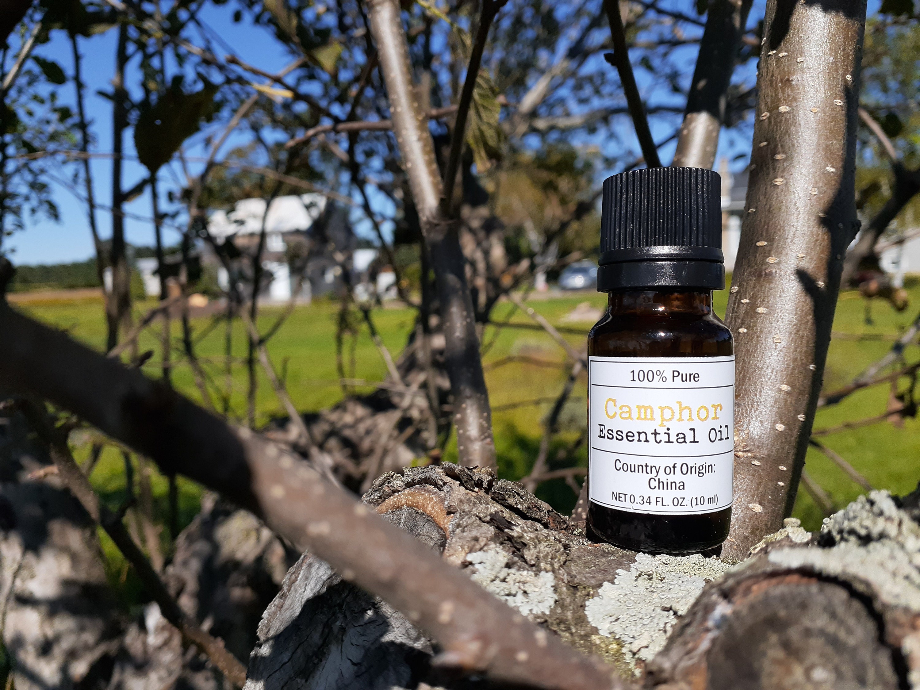 Camphor Essential Oil | 100% Pure Natural - Etsy