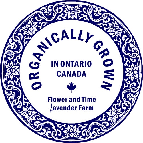 FlowerAndTime - Etsy Canada