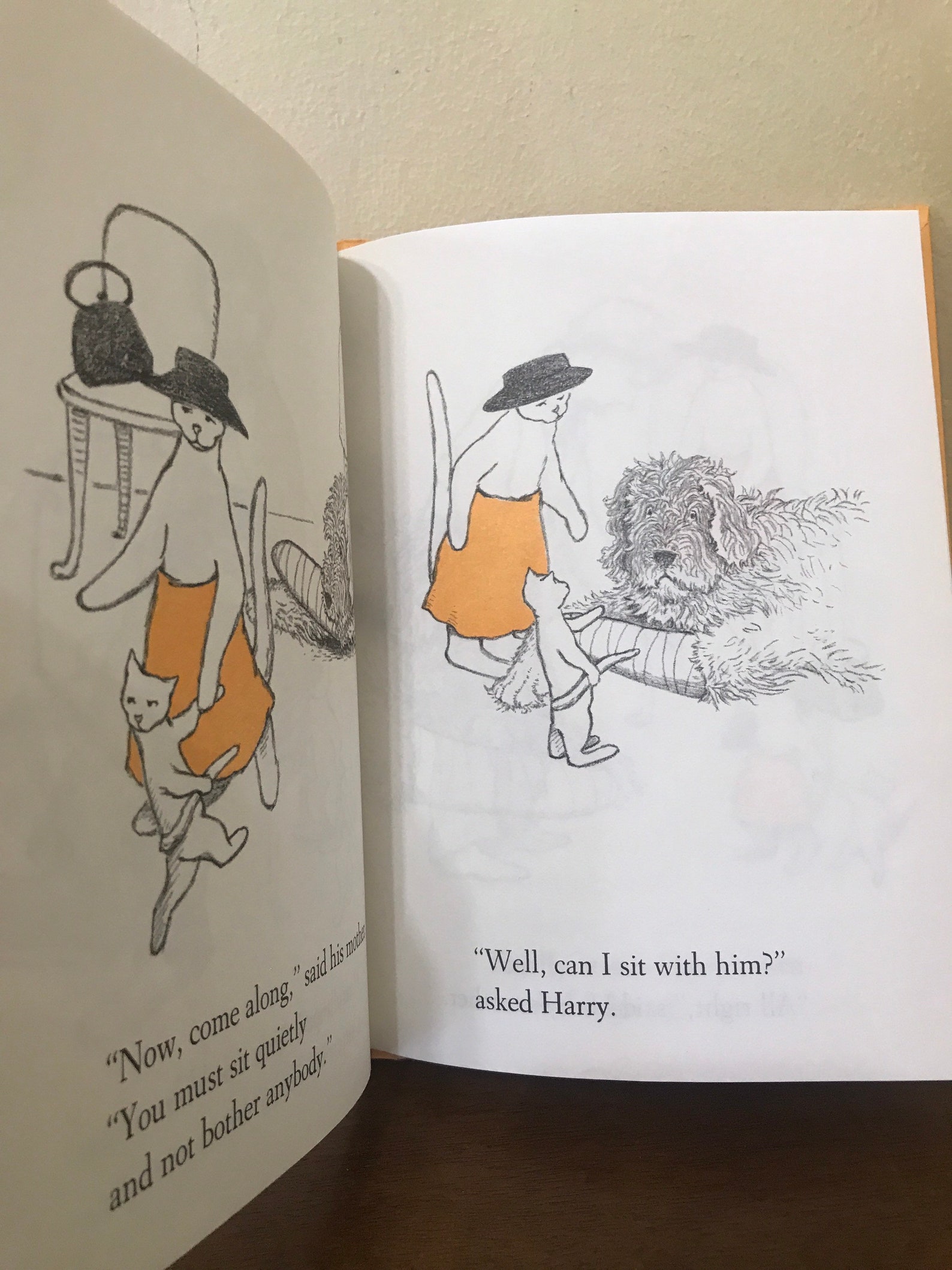 Come to the Doctor Harry Story and Pictures by Mary Chalmers | Etsy