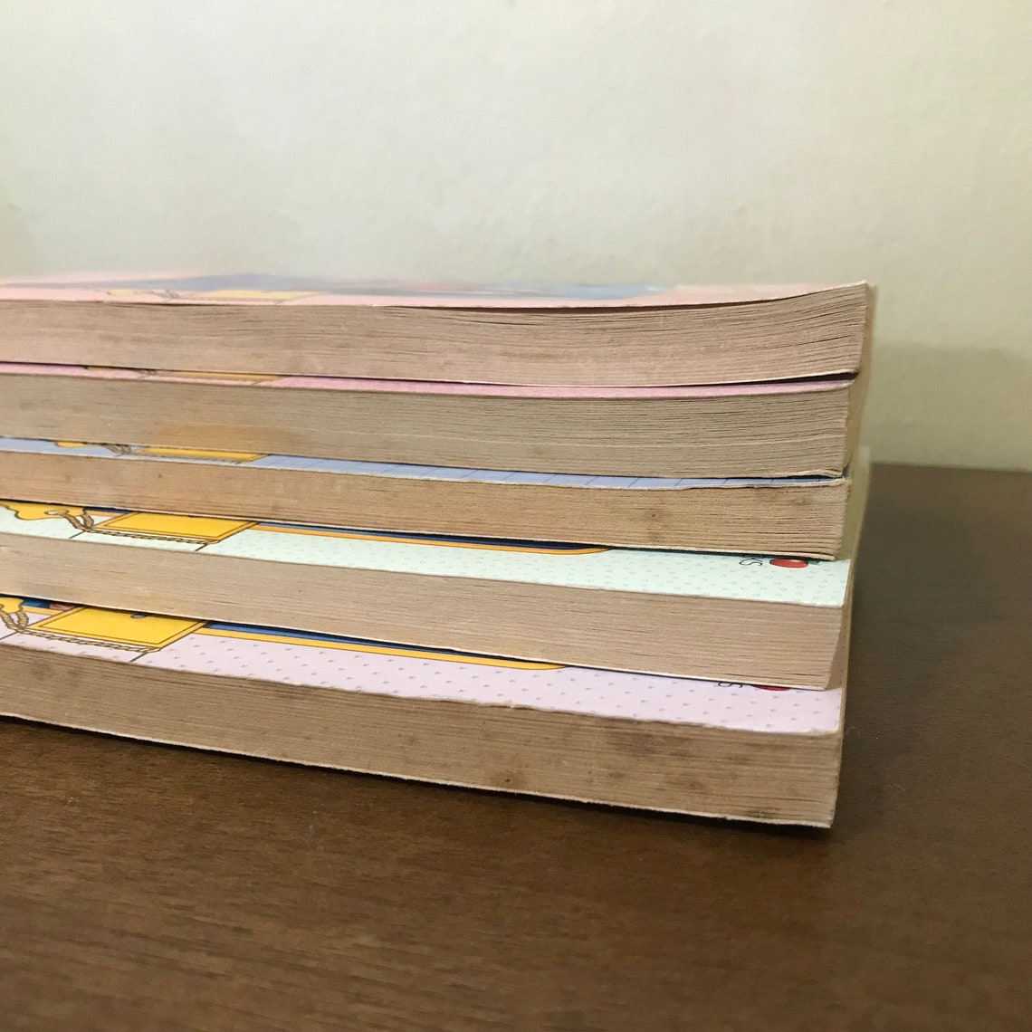 Dear Diary Carrie Randall Chapter Book Series Scholastic 90s, Young ...
