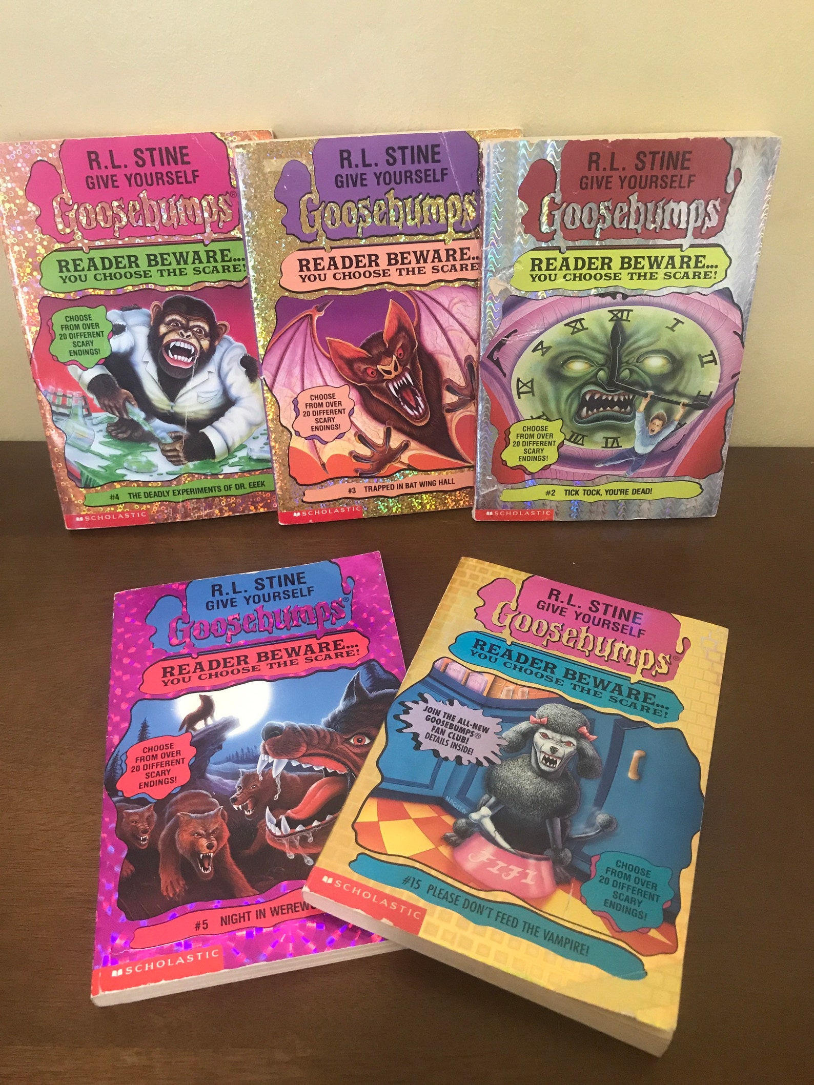 Give Yourself Goosebumps Reader Beware Choose the Scare R.L. - Etsy