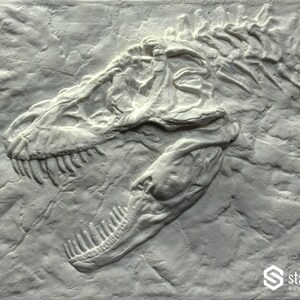 T-rex Fossil Replica - 11 X 14 Relief Sculpt - Etsy