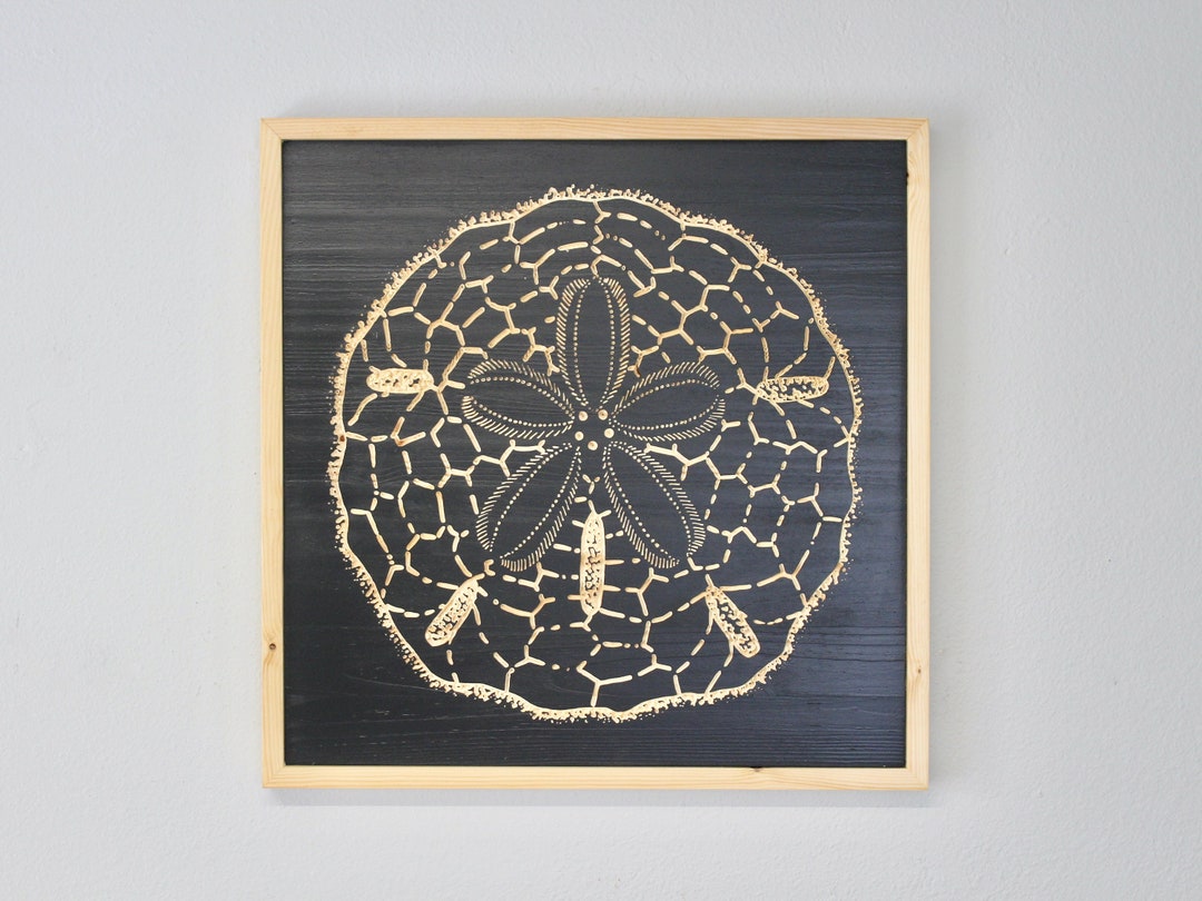 Carved Sand Dollar Wall Art Beach House Decor Framedsea - Etsy
