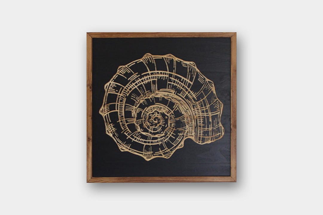 Carved Nautilus Shell Wall Art - Beach House Decor - Framed Carving ...