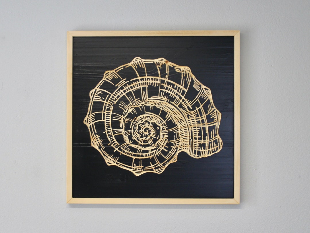Carved Nautilus Shell Wall Art - Beach House Decor - Framed Sea Shell ...