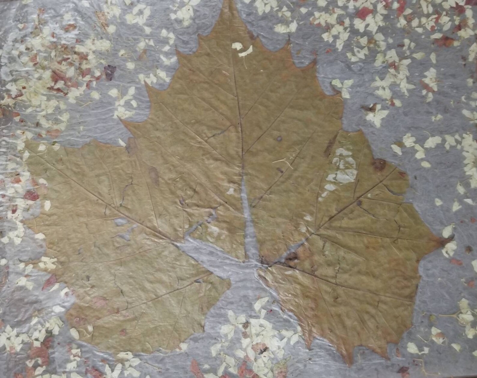 LEAVES Mat Set 4 12 X 14.5 Handmade With Large New England Fall Leaves ...