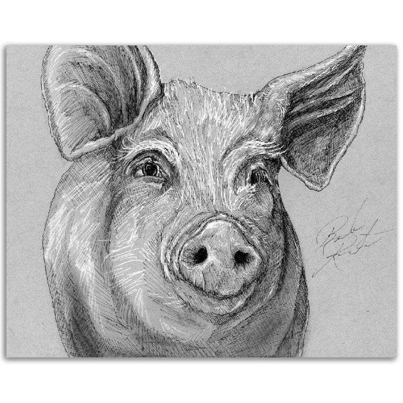 Pig, Pen and Ink Print, Hand Drawn Animal Art, Black and White Vintage ...