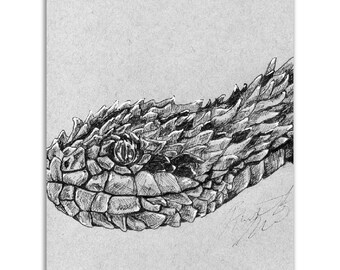 Crocodile, Pen and Ink Print, Hand Drawn Animal Art, Black and White ...
