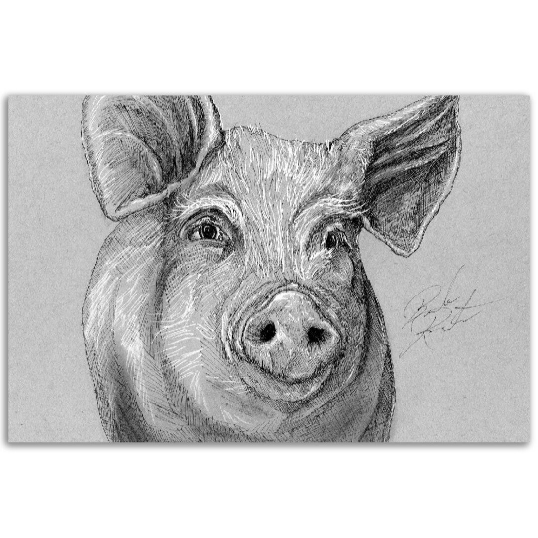 Pig, Pen and Ink Print, Hand Drawn Animal Art, Black and White Vintage ...