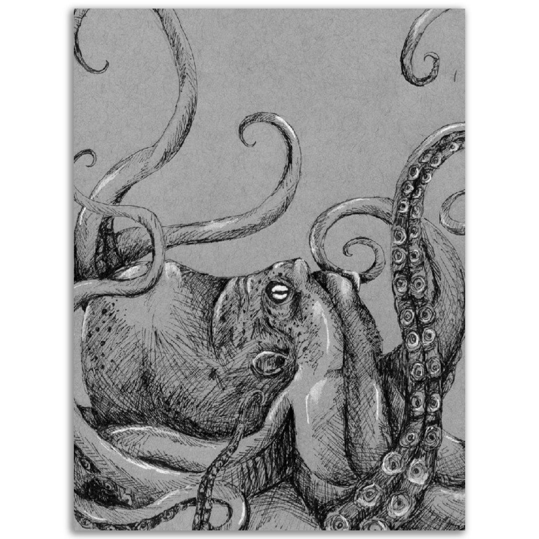 Octopus, Pen and Ink Print, Hand Drawn Animal Art, Black and White ...