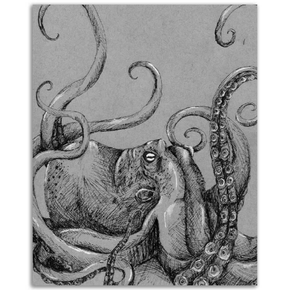 Octopus, Pen and Ink Print, Hand Drawn Animal Art, Black and White ...