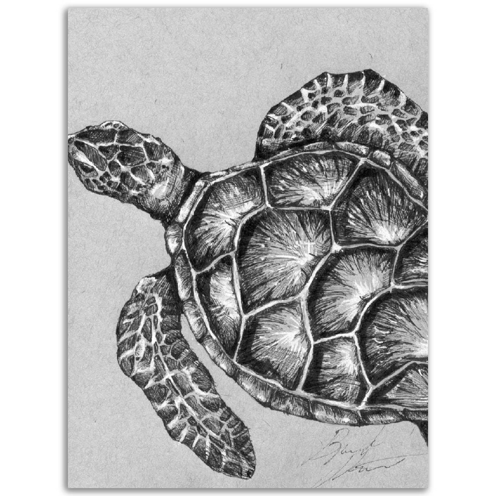 Sea Turtle, Pen and Ink Print, Hand Drawn Animal Art, Black and White ...
