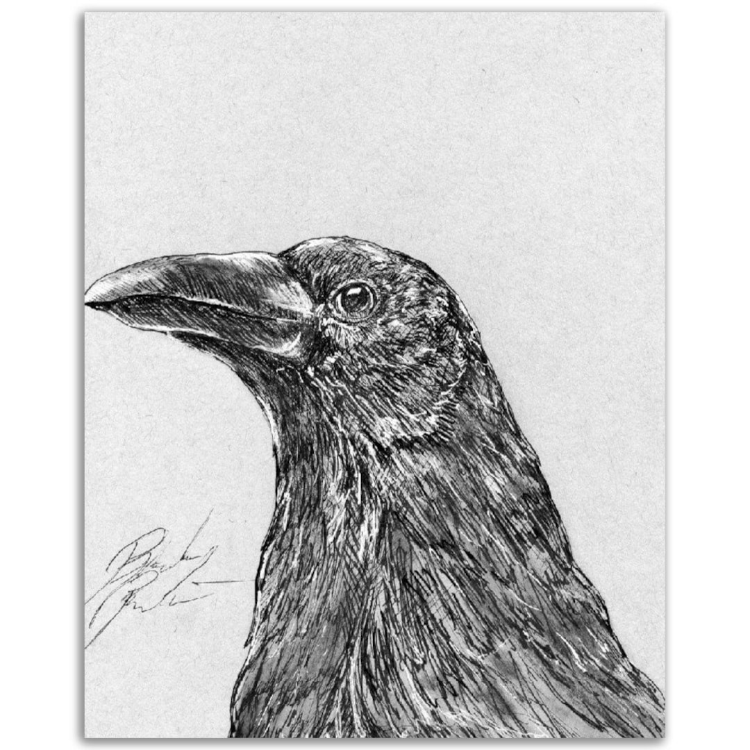 Raven, Pen and Ink Print, Hand Drawn Animal Art, Black and White ...