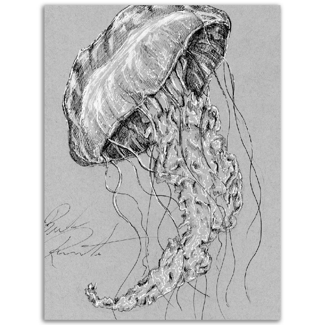 Jellyfish, Pen and Ink Print, Hand Drawn Animal Art, Black and White ...