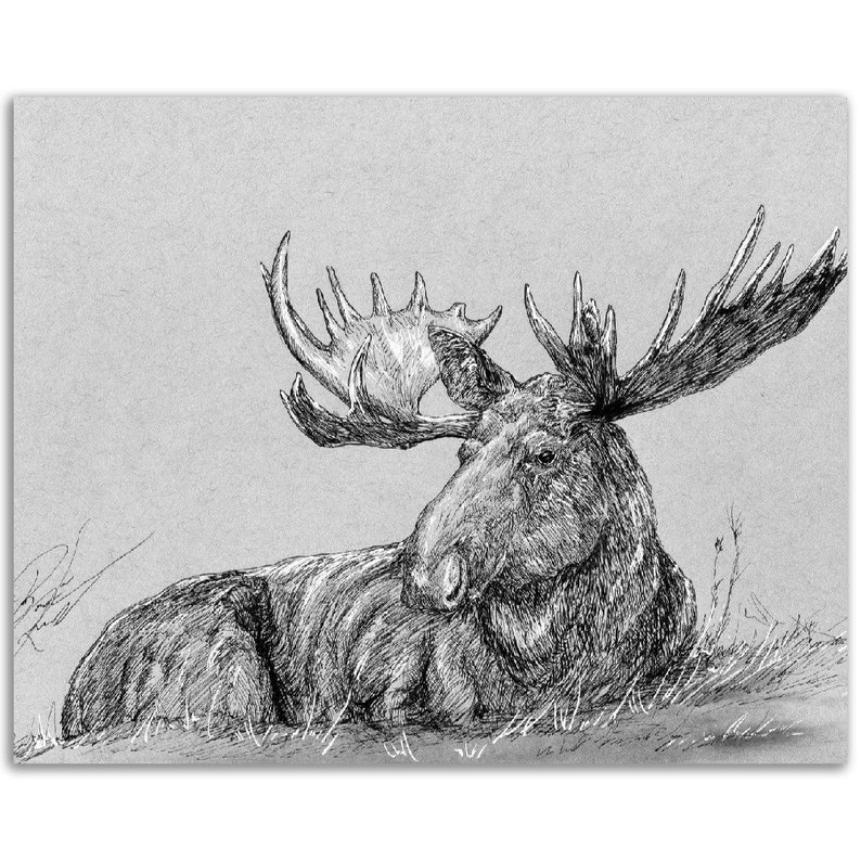 Moose, Pen and Ink Print, Hand Drawn Animal Art, Black and White ...