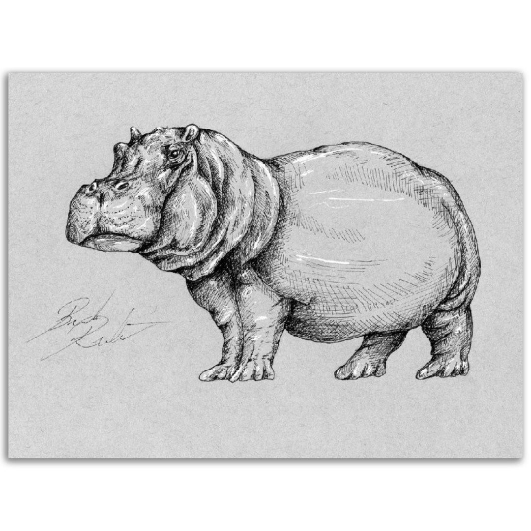 Hippo, Pen and Ink Print, Hand Drawn Animal Art, Black and White ...