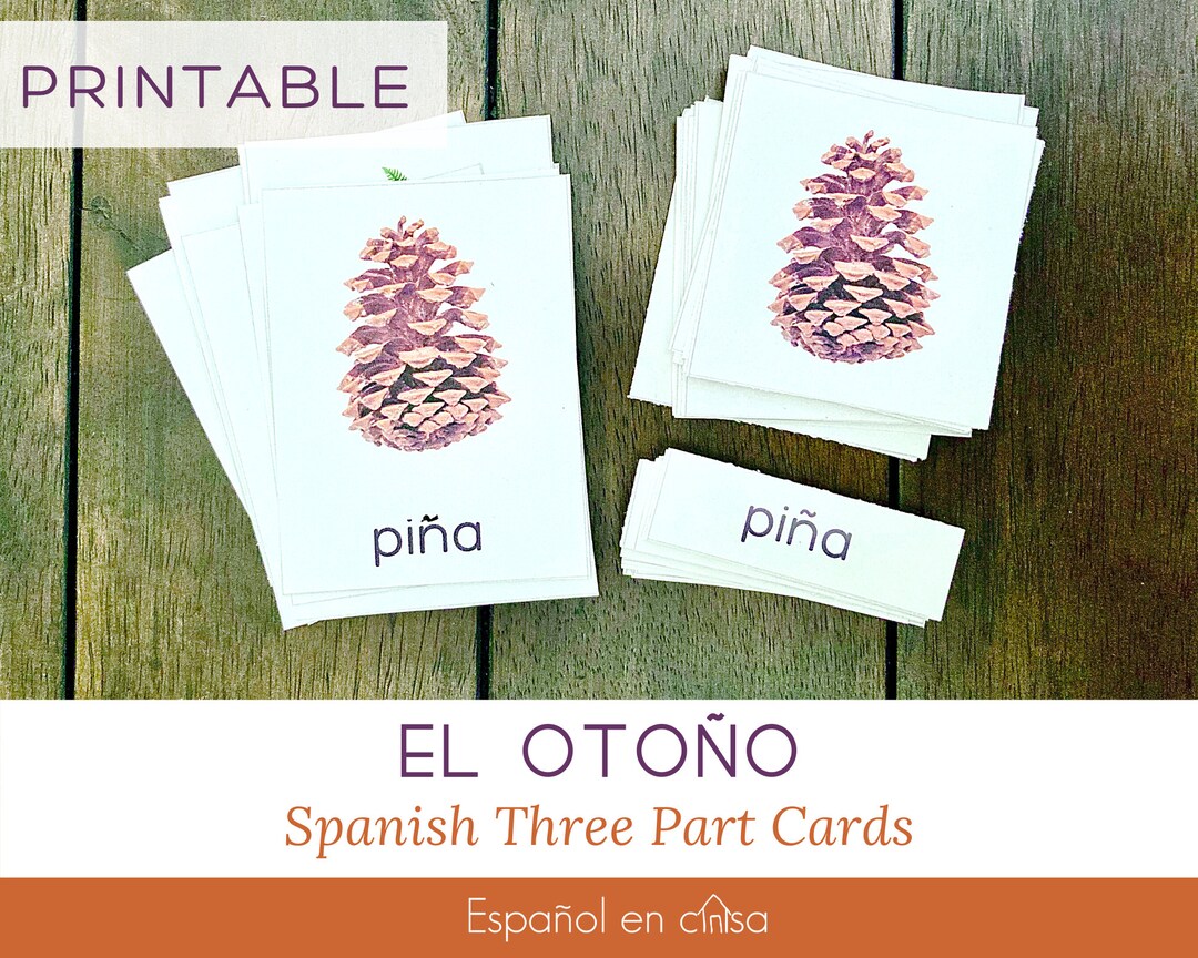 El Otoño Three-part Montessori Cards | Fall Theme | Autumn | Hands-on ...