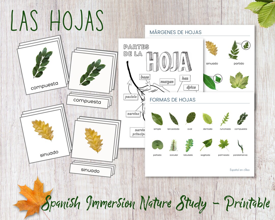 Las Hojas - Spanish Immersion Nature Study - Montessori Three-part ...