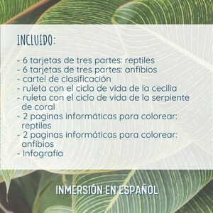 Reptil O Anfibio - Spanish Reptiles Amphibians - Three Part Cards ...
