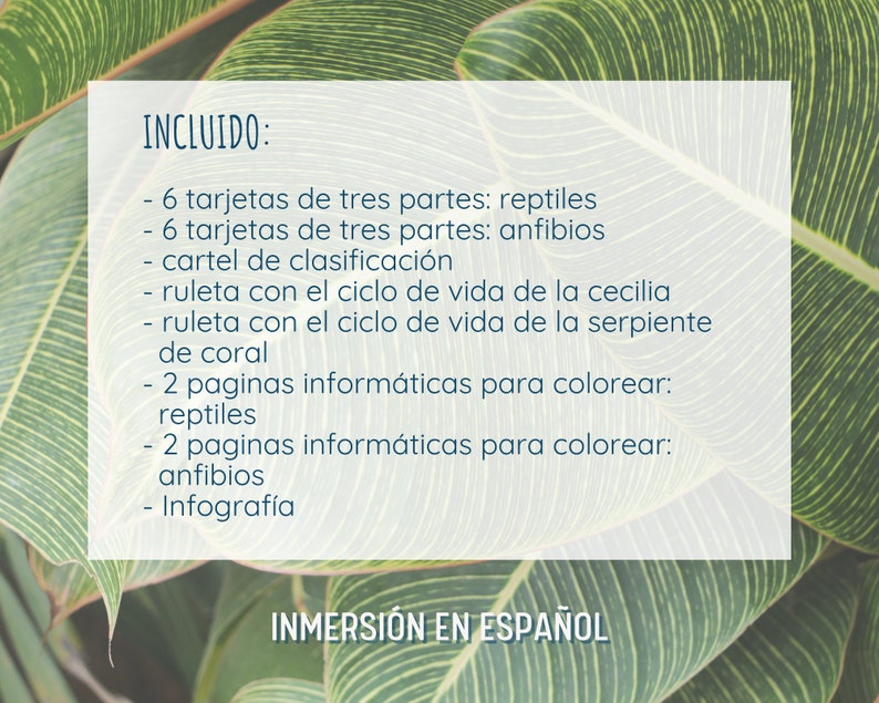 Reptil O Anfibio - Spanish Reptiles Amphibians - Three Part Cards ...