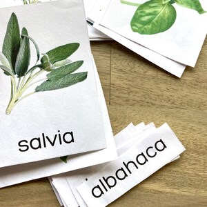 Herbs Three Part Cards in Spanish - Montessori Cards - Tarjetas De 3 ...