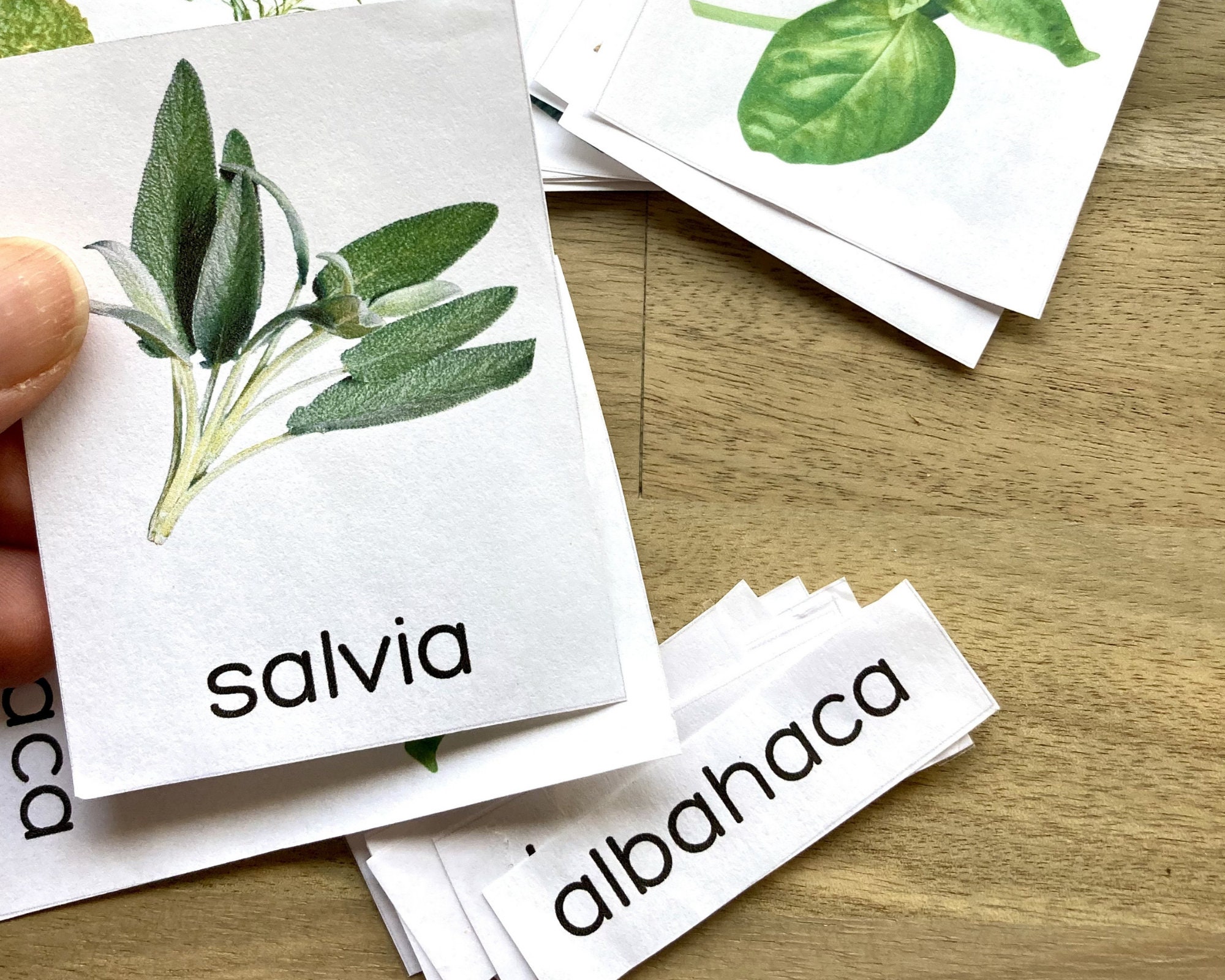 Herbs Three Part Cards in Spanish - Montessori Cards - Tarjetas De 3 ...