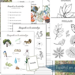 Explorando La Naturaleza - Busqueda, Observaciones, Fichas - Spanish ...