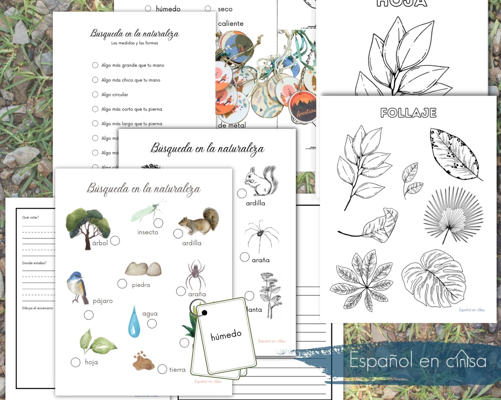 Explorando La Naturaleza - Busqueda, Observaciones, Fichas - Spanish ...