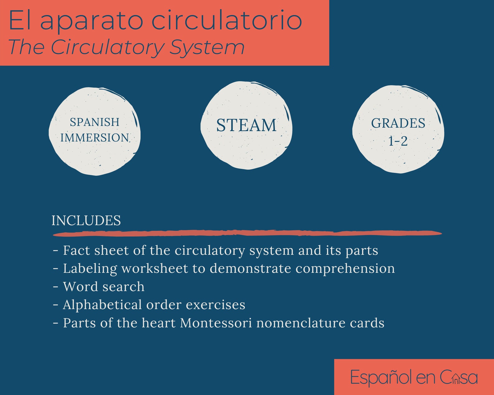 El Aparato Circulatorio the Circulatory System Spanish Immersion ...