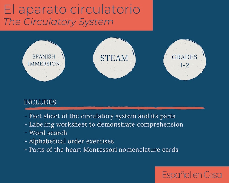 El Aparato Circulatorio - the Circulatory System - Spanish Immersion ...