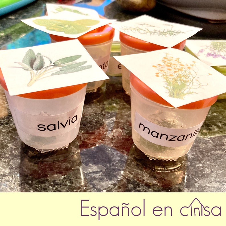 Herbs Three Part Cards in Spanish - Montessori Cards - Tarjetas De 3 ...