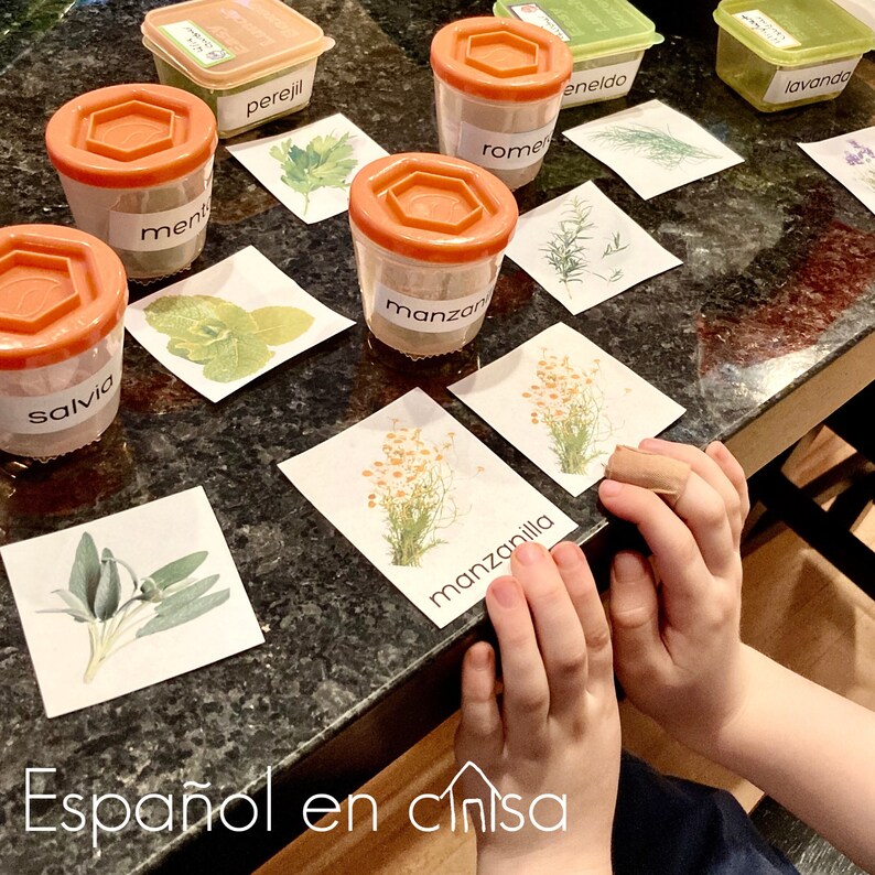 Herbs Three Part Cards in Spanish - Montessori Cards - Tarjetas De 3 ...