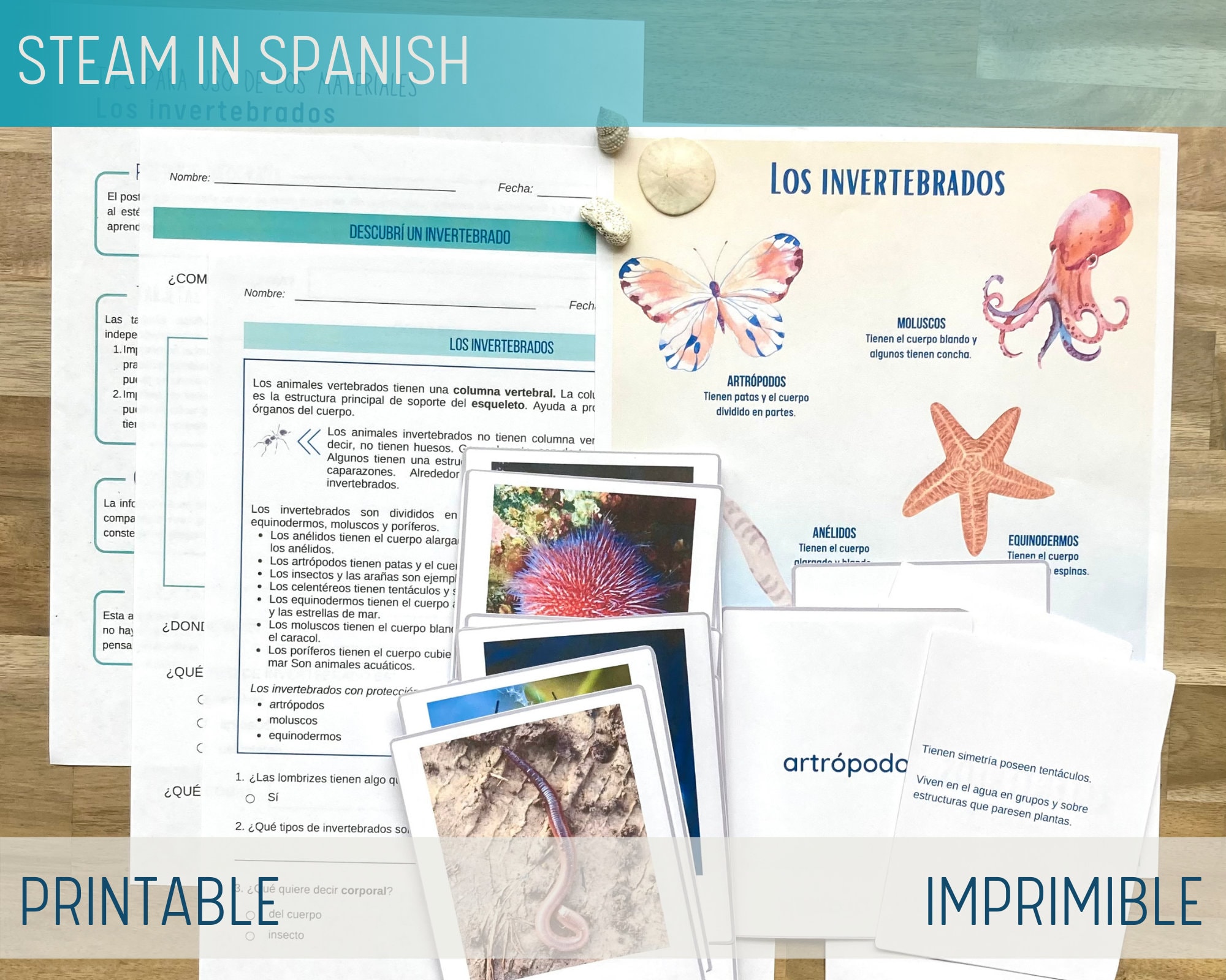 Los Invertebrados - Unidad De Estudio - Invertebrates Unit Spanish ...