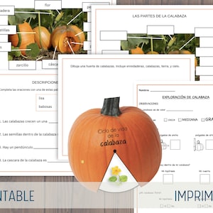 Pumpkins Packet in Spanish Calabazas Aprendizaje Y - Etsy