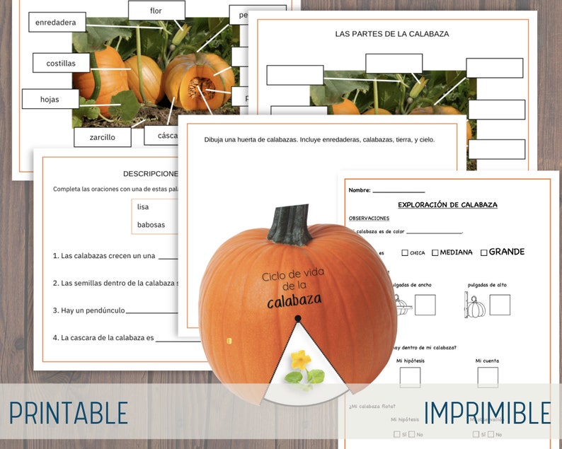 Pumpkins Packet in Spanish Calabazas Aprendizaje Y - Etsy