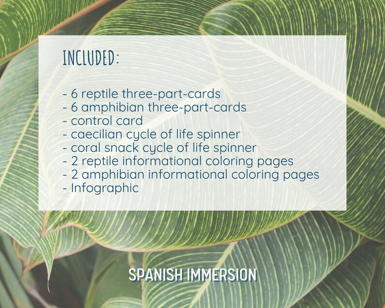 Reptil O Anfibio Spanish Reptiles Amphibians Three Part Cards Life ...