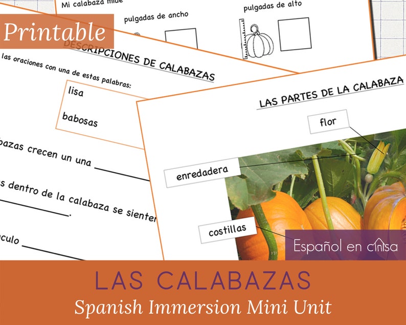 Pumpkins Packet in Spanish Calabazas Aprendizaje y | Etsy