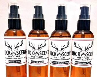 Persimmon Spray - Etsy