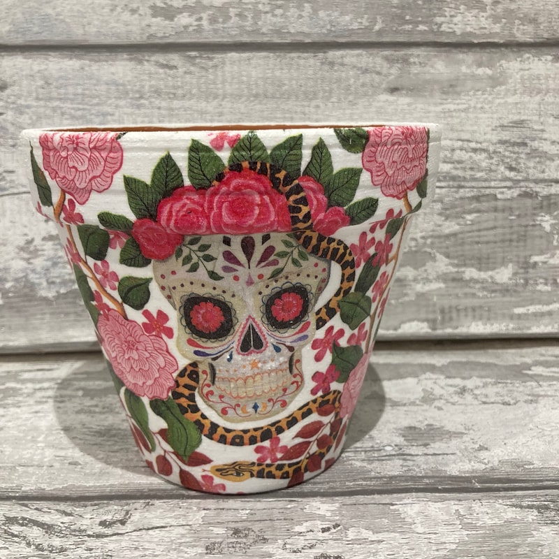 House Plant Pot Skull - Etsy UK