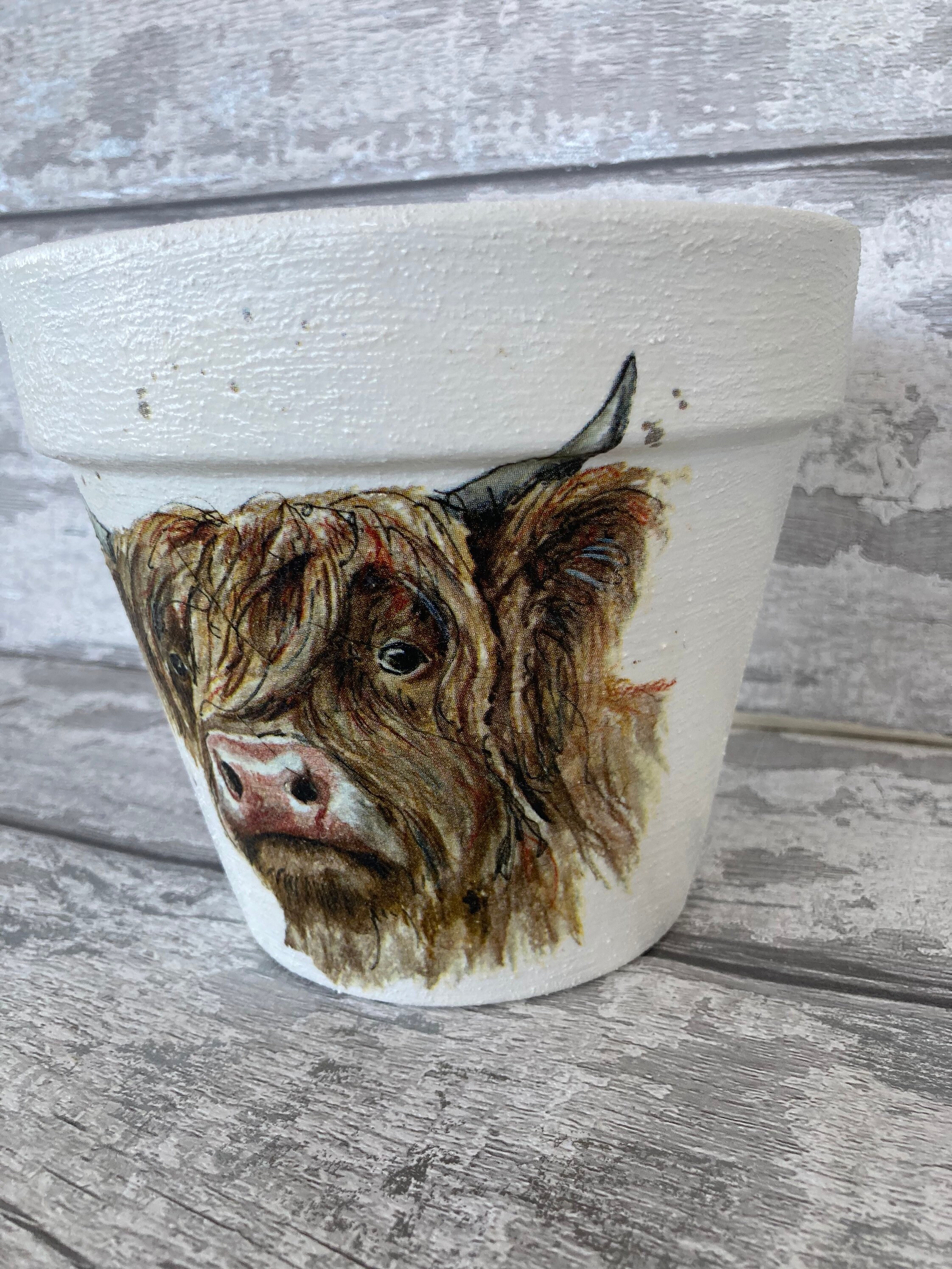 Highland Cow pot for inside or out decoupaged cows garden | Etsy