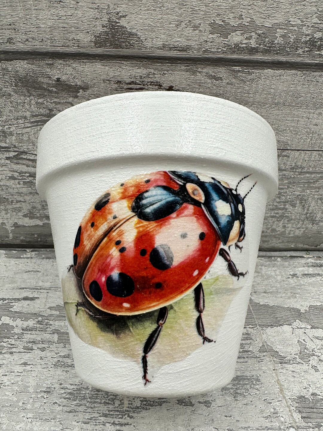 Ladybird Plant Pot for Inside or Out Decoupaged, Ladybird, Ladybirds ...