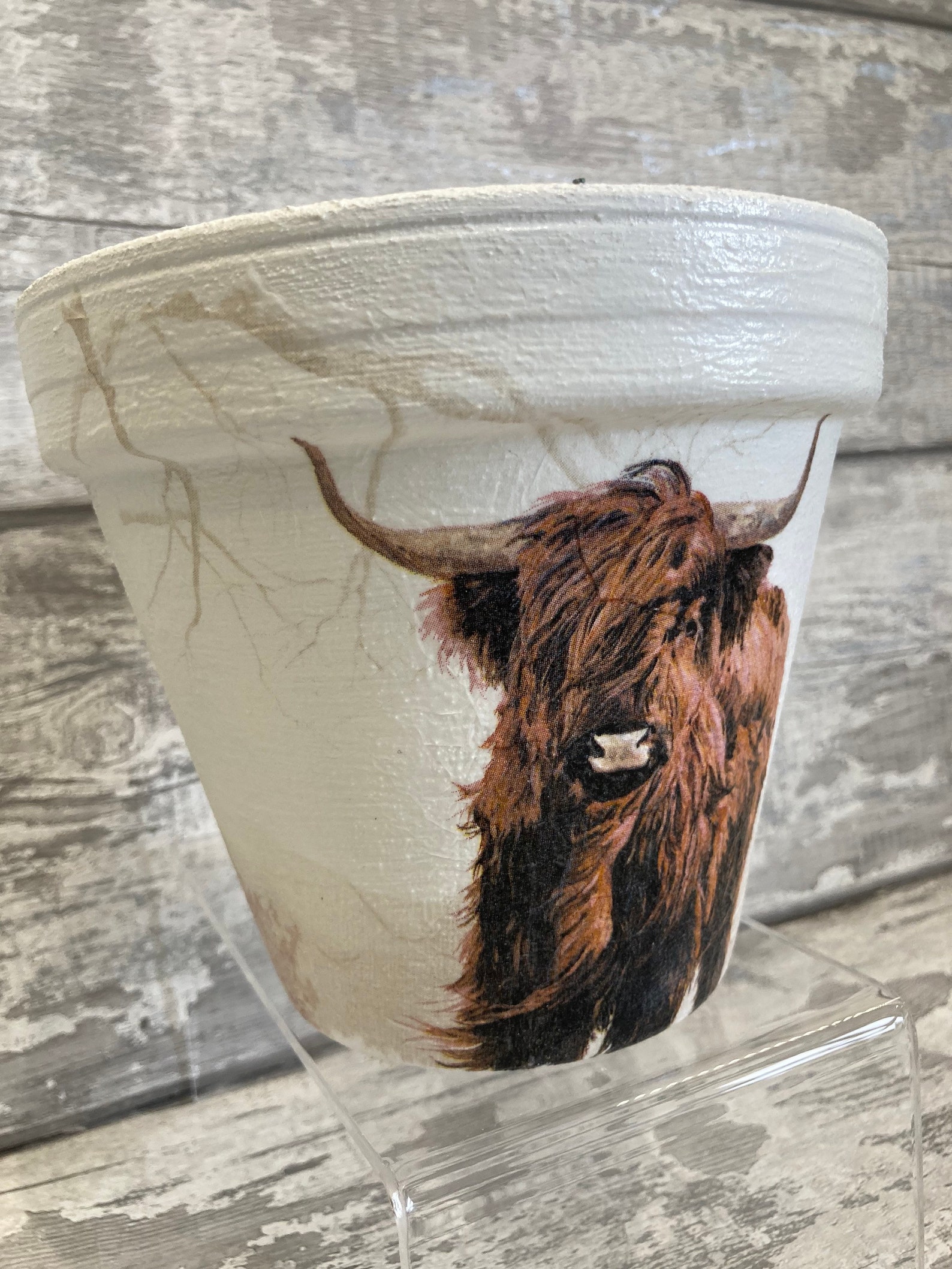 Highland cow plant pot for inside or out decoupaged robins | Etsy
