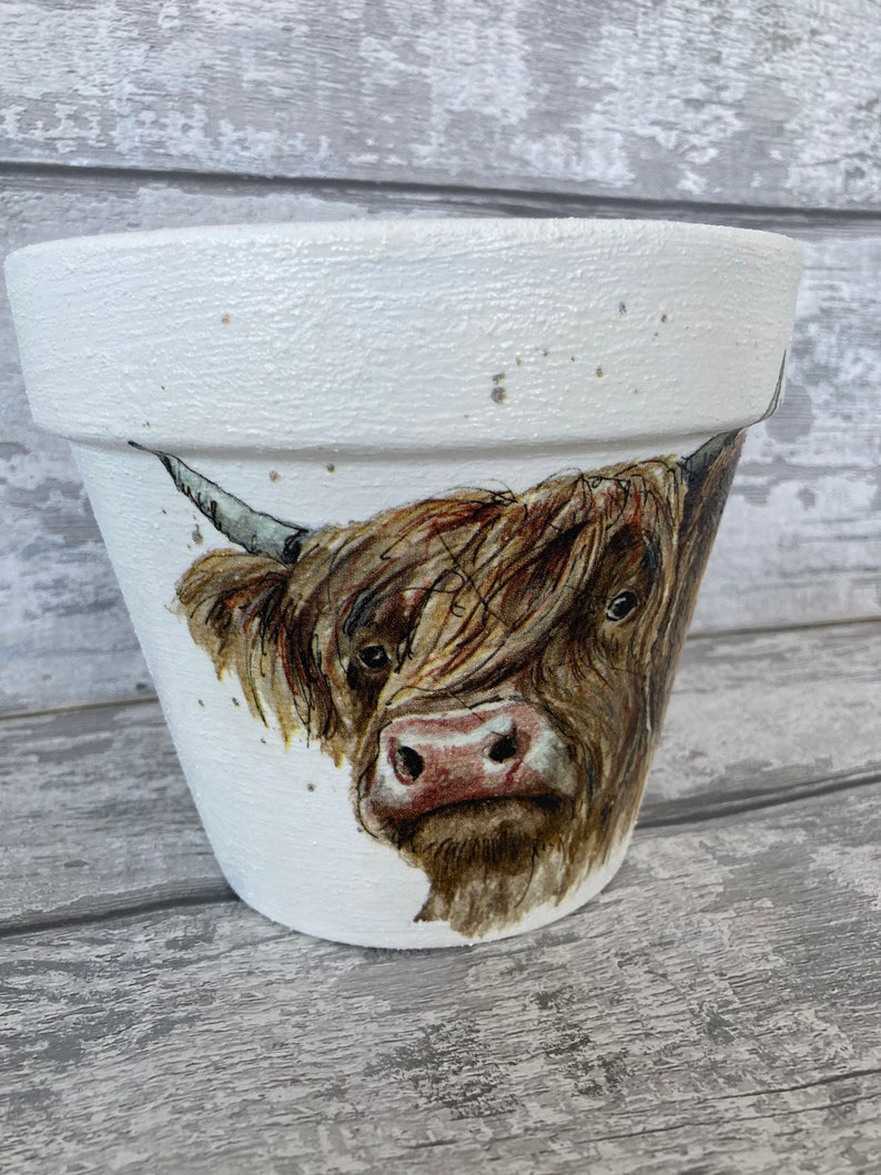 Highland Cow Pot for Inside or Out Decoupaged Cows Garden | Etsy