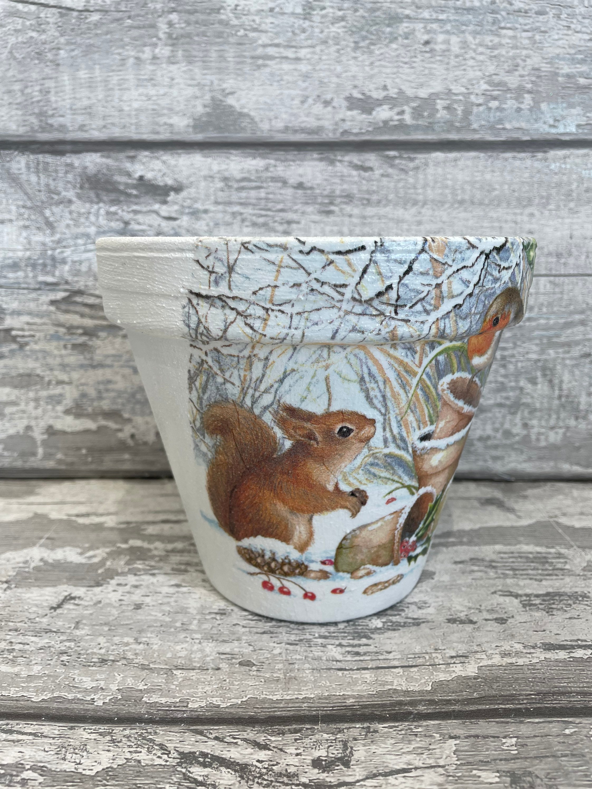 Robin and Squirrel Plant Pot for Inside or Out Decoupaged, Robins ...