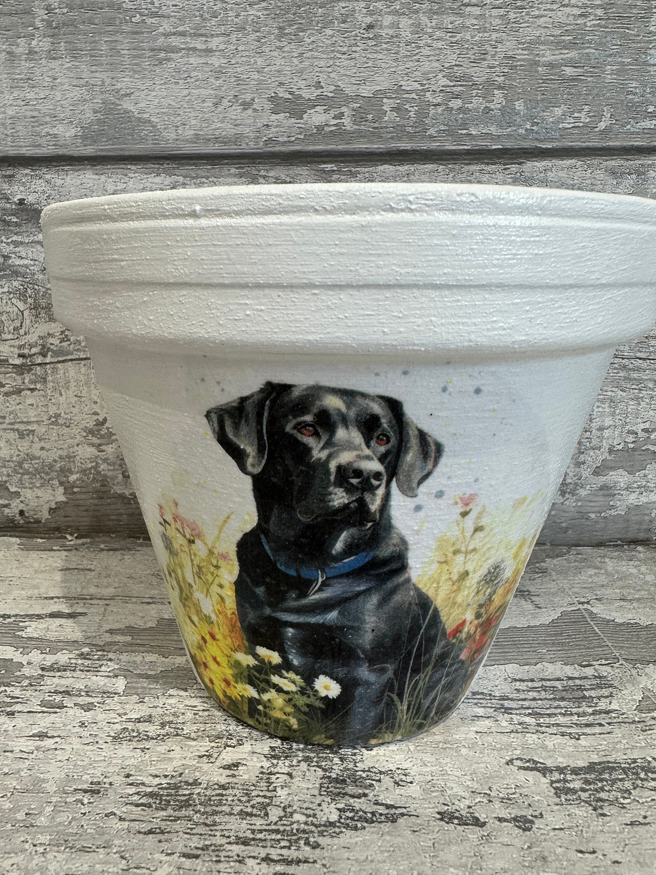 Black Labrador Gifts, Labrador Vase, Labrador Plant Pot Pot, Labrador ...