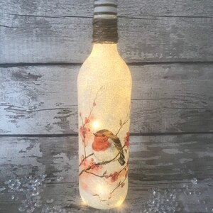Robin Light up Bottle LED Decouoage Christmas Spring | Etsy